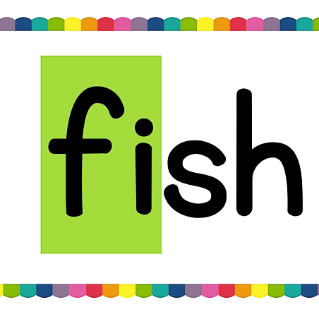 Carla Siravo | Instagram, Facebook, TikTok | Linktree